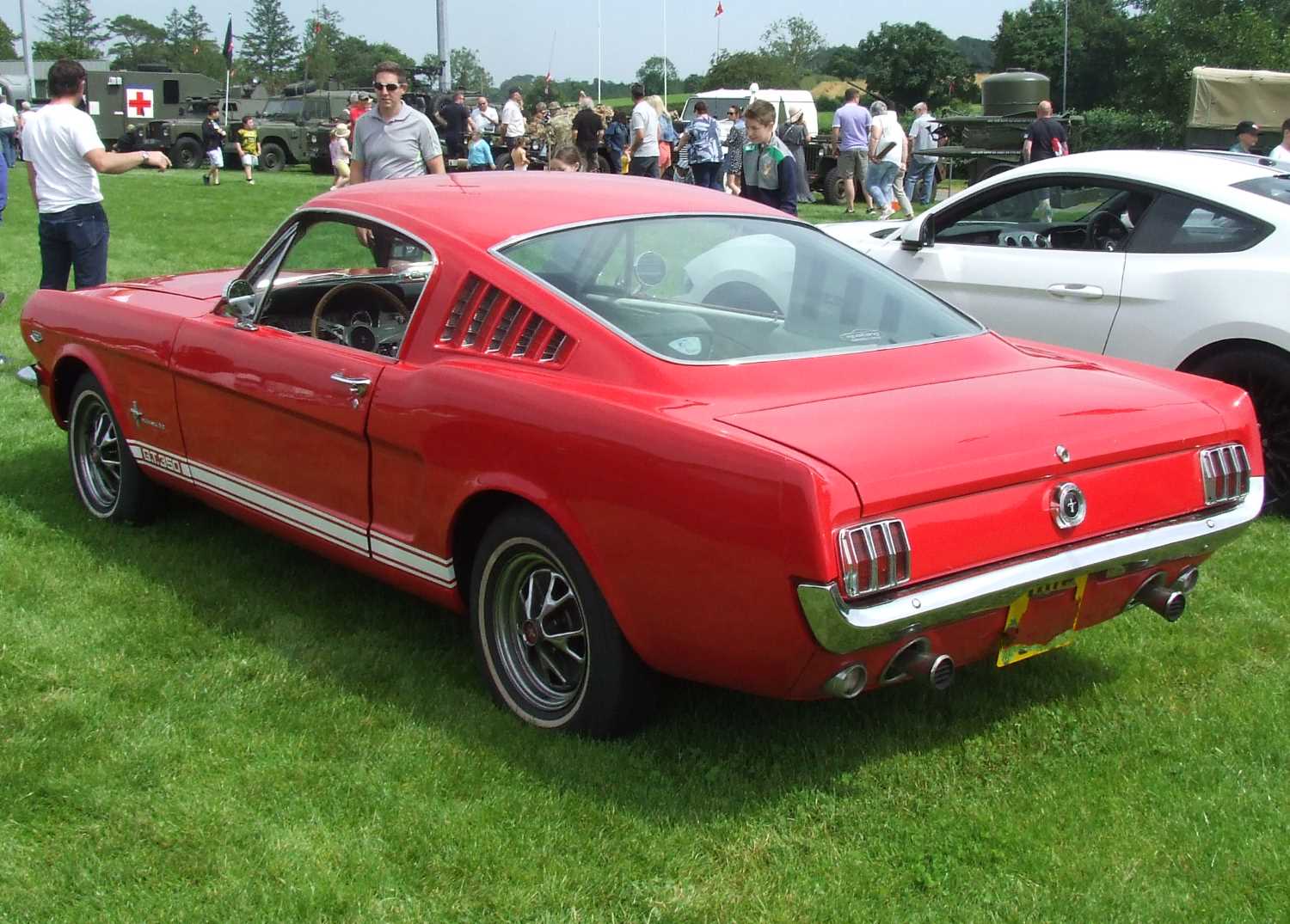 Ford Mustang (1964-Present) - Still Motoring